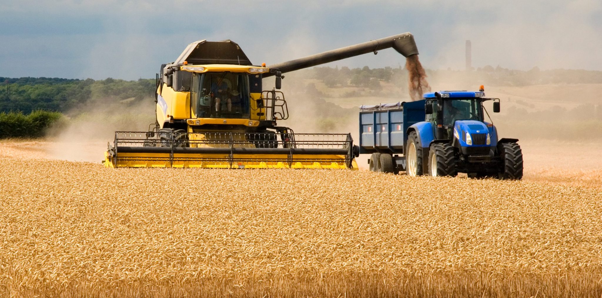 Cautious welcome for farming review - FBUK
